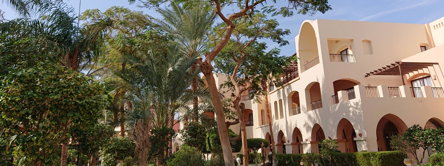 Андрей Амелин