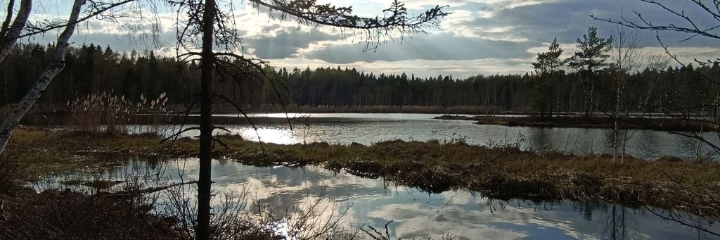 Любомирская Ольга