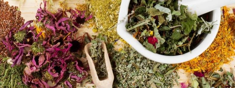 Лекарственные растения