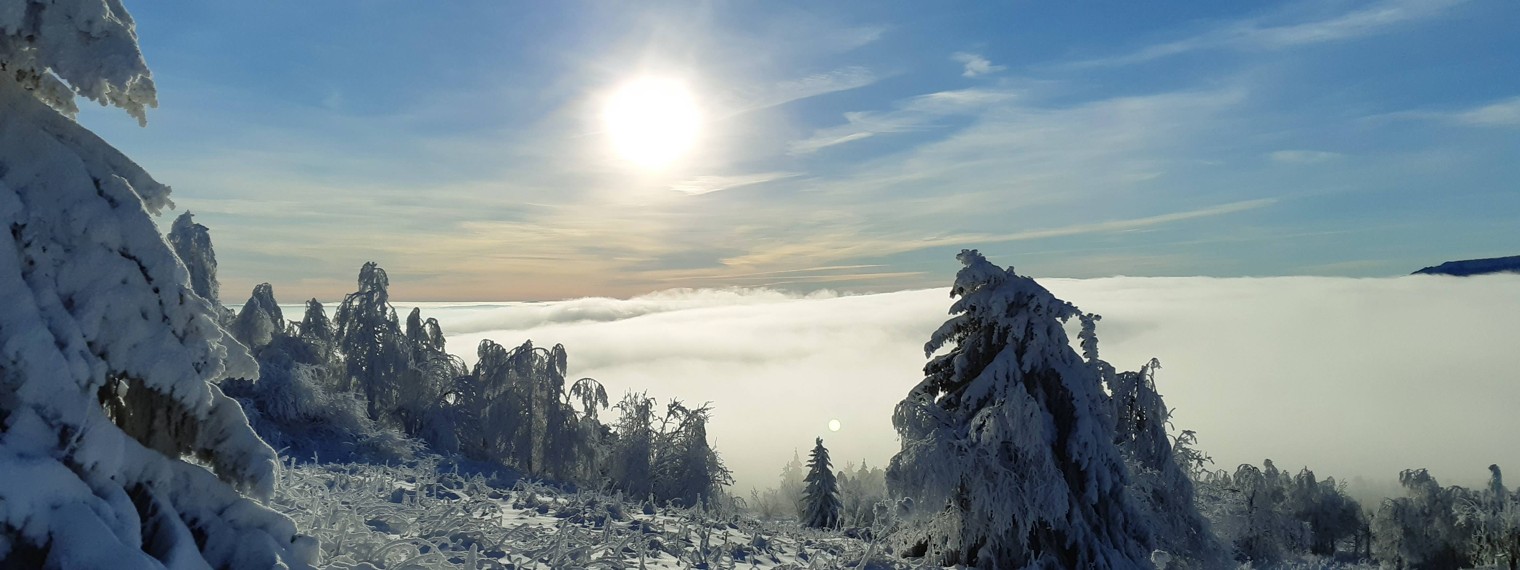 Биармия-Тур