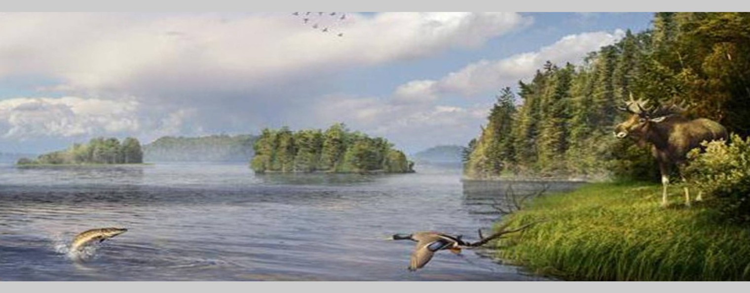 Ассоциация охотников и рыболовов Башкирии