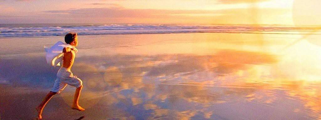 Shuyskaya_ANNA  Хроники_Хромоквалитолога