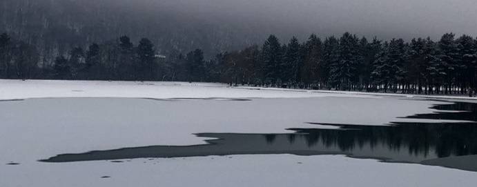 Видеоцитаты