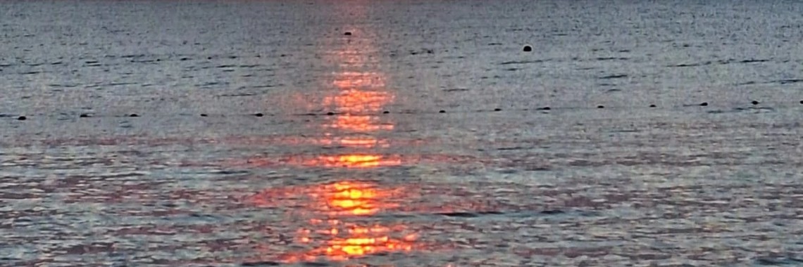 Вещая про историю и жизнь