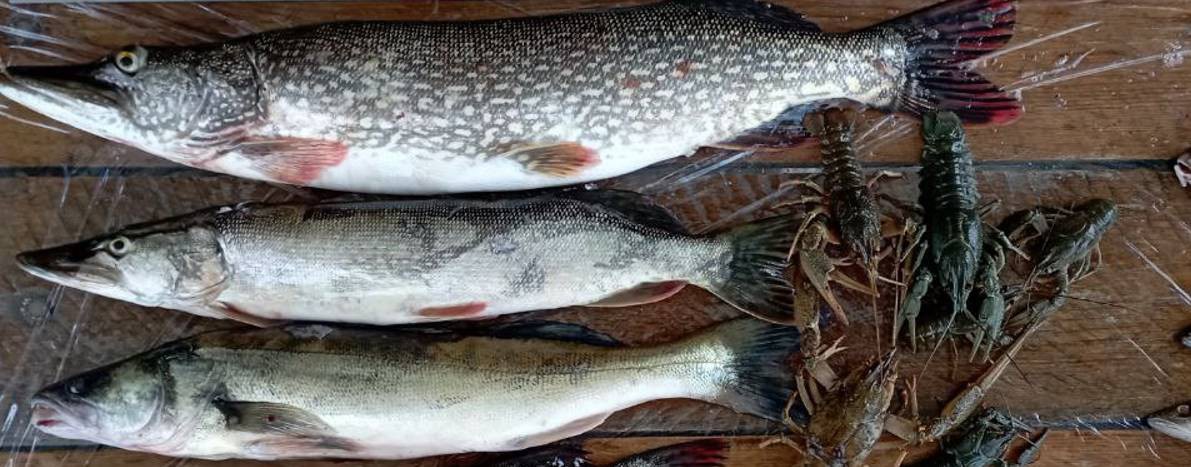 Водные процедуры