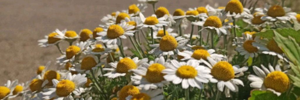 Правда и сила-зa нами 🇷🇺