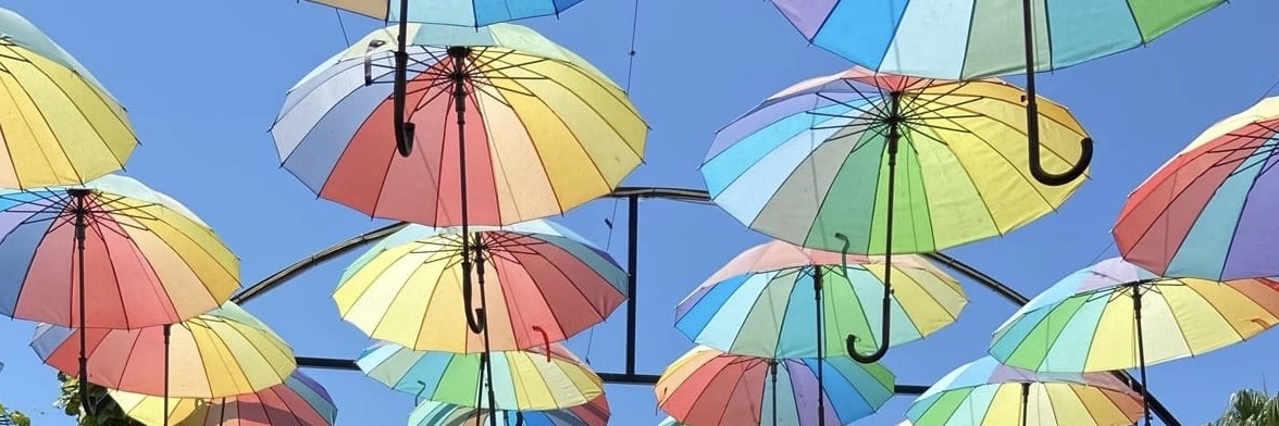 Всё обо всём🌏🌴🦜🌊