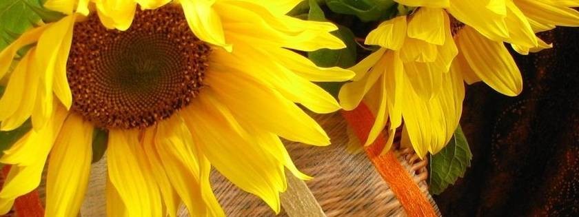 Провинциальная жизнь с Еленой.