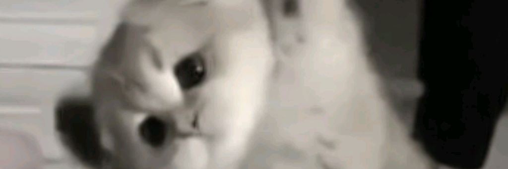 ✨☁MilanA_StaV26☁✨