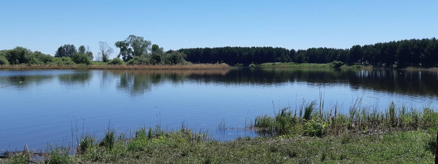 Между Волгой и Камой