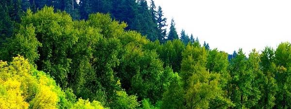 ГБУ "РЦДПОВ г. Арзамаса"