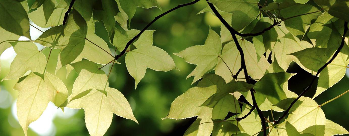 Последипломное образование