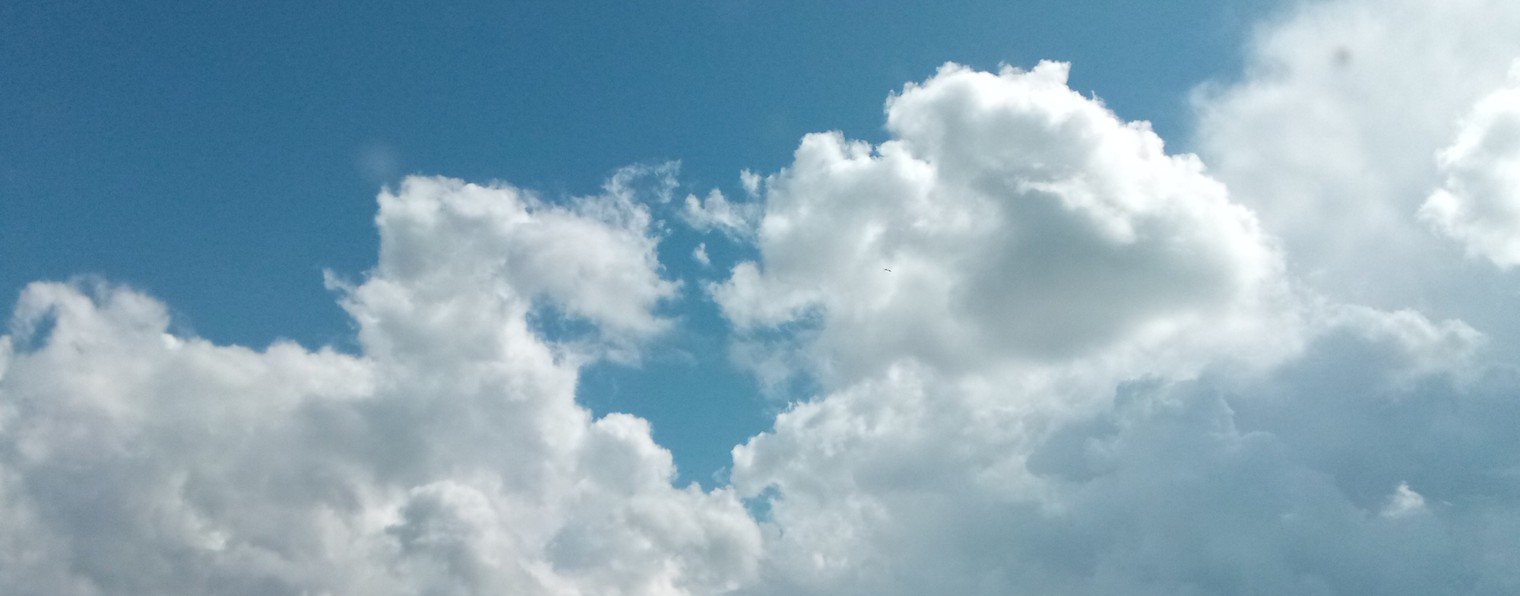 просто Настя