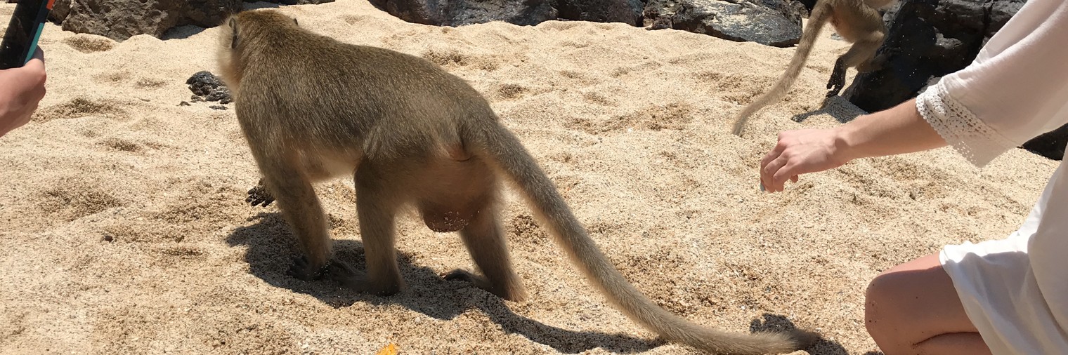 ТутМнеТепло