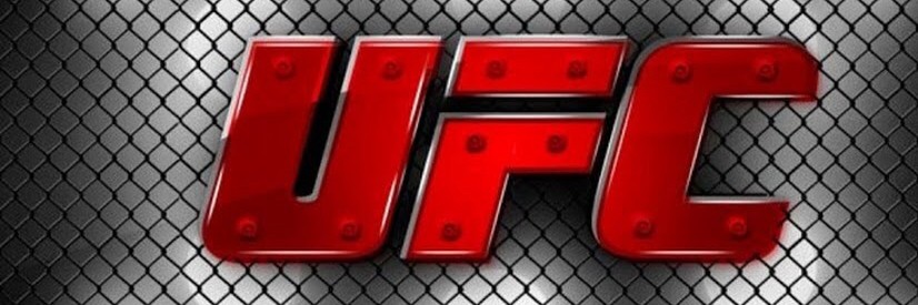 TOP TEN MMA CAGE