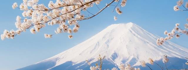 Ирина Бояршинова