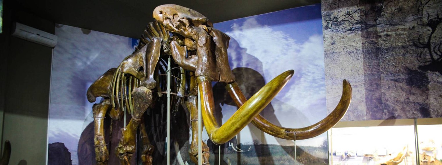 Азовский музей-заповедник