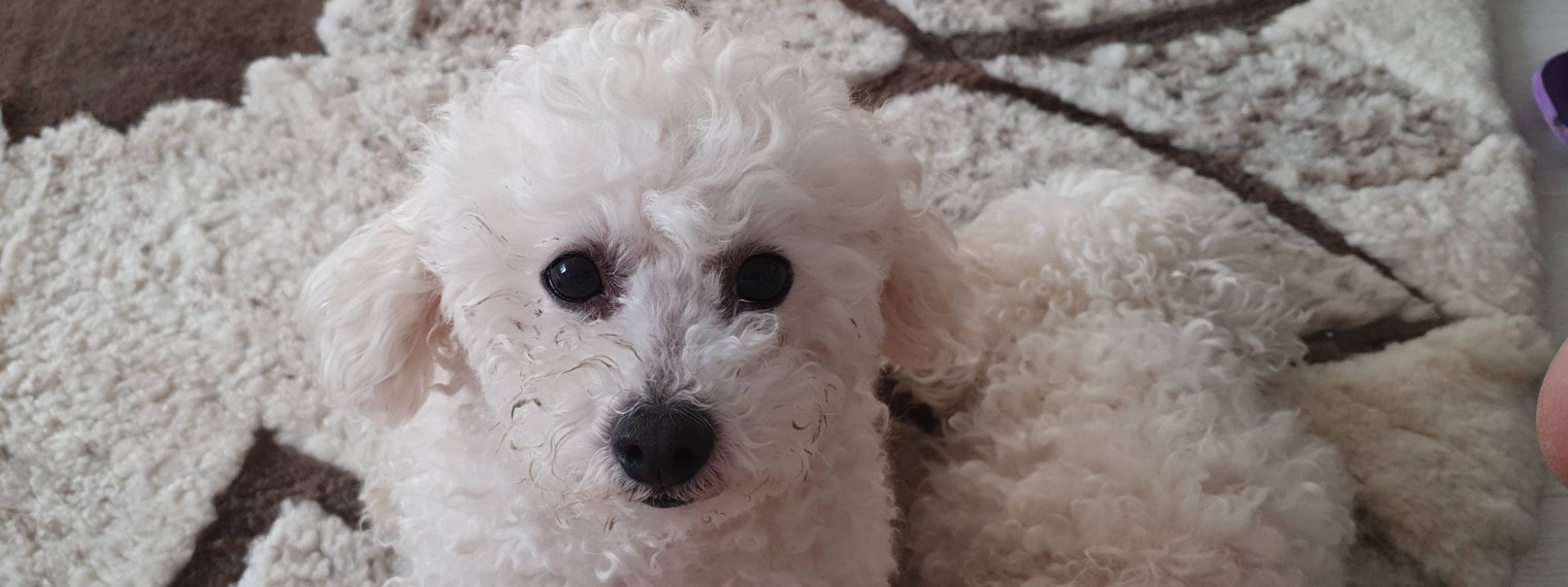 Надежда Скворцова - композитор, педагог