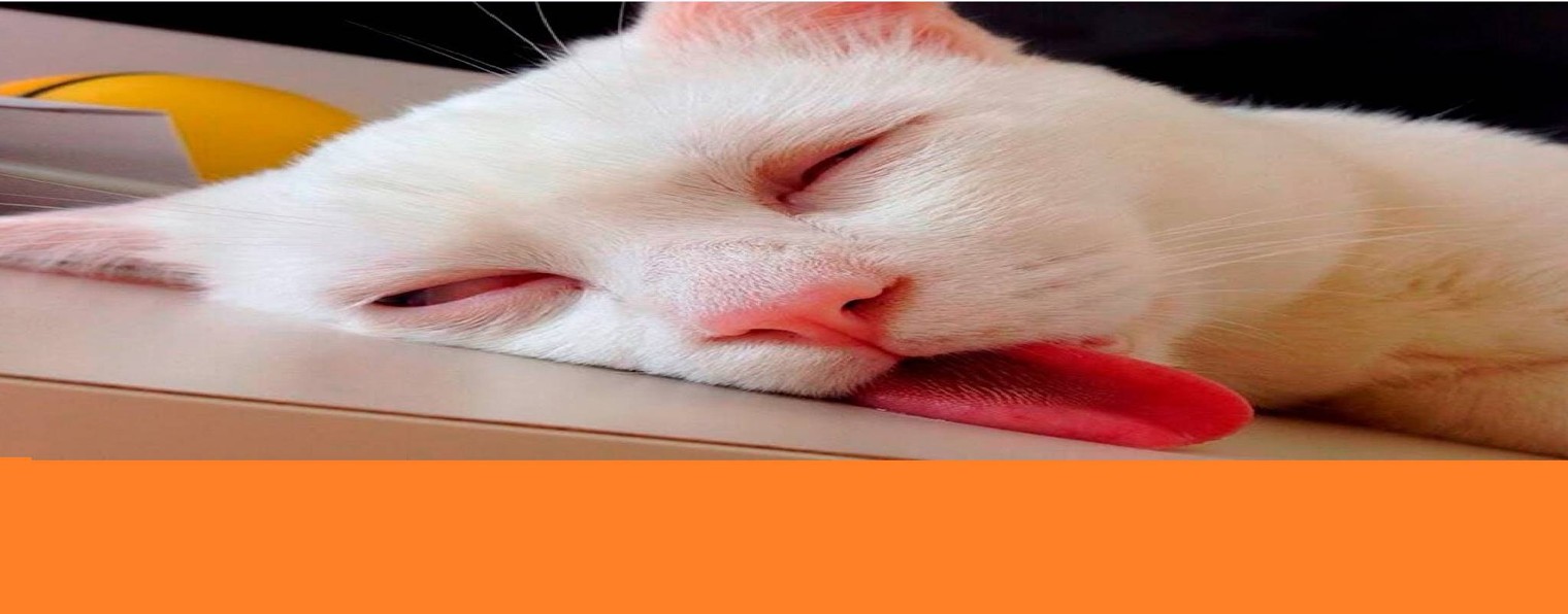 Андрей Усто. Качество жизни.