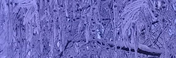 НАДЁЖНОЕ ТАРО