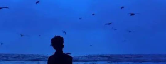 Музыка хаб_9