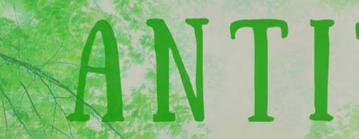 АНТИТЕЗА