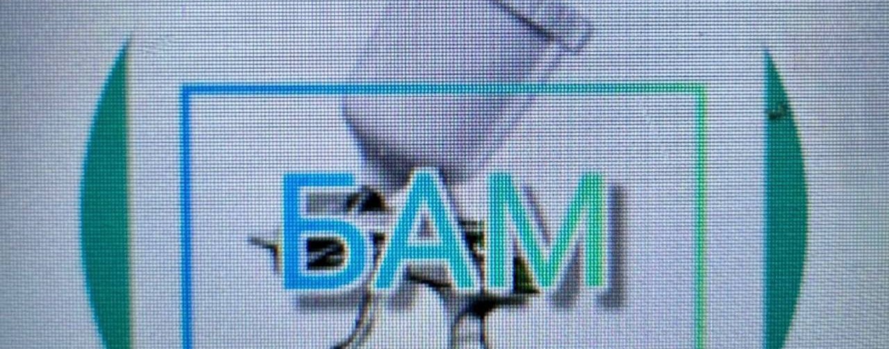 БАМ Бердянск Авто Малярка