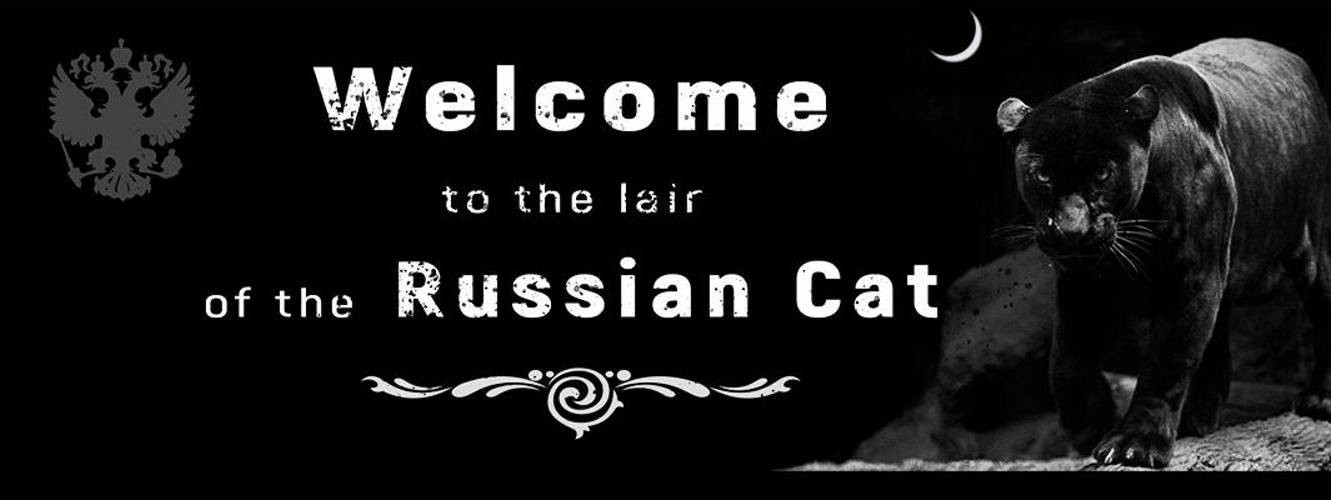 🅱𝐥𝐚𝐜𝐤 𝐂𝖆𝖙