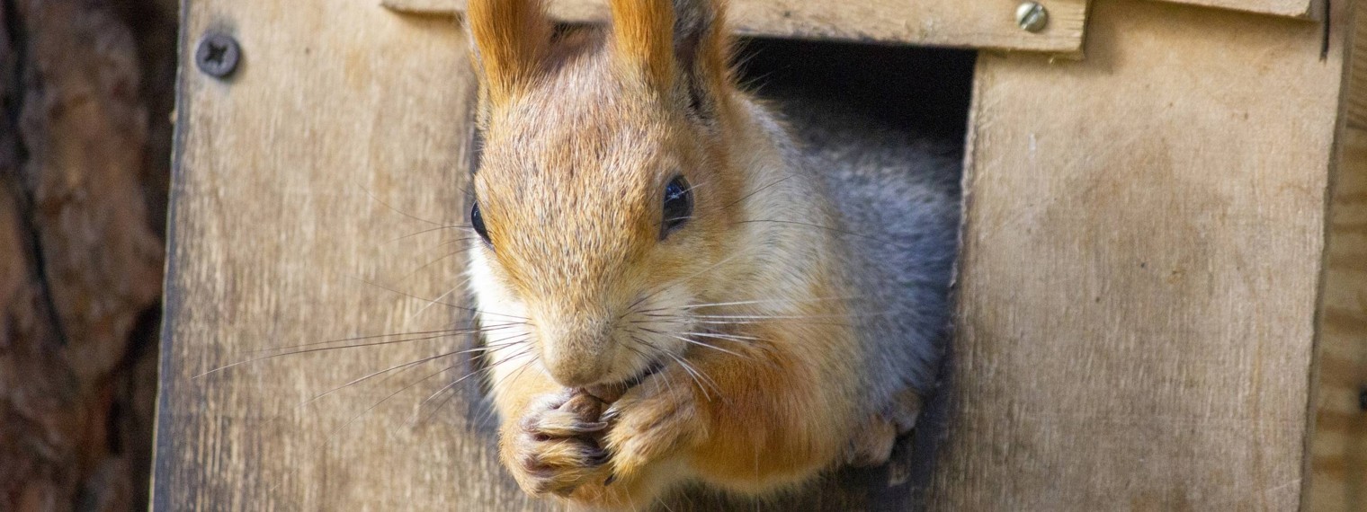 Иван Долгов