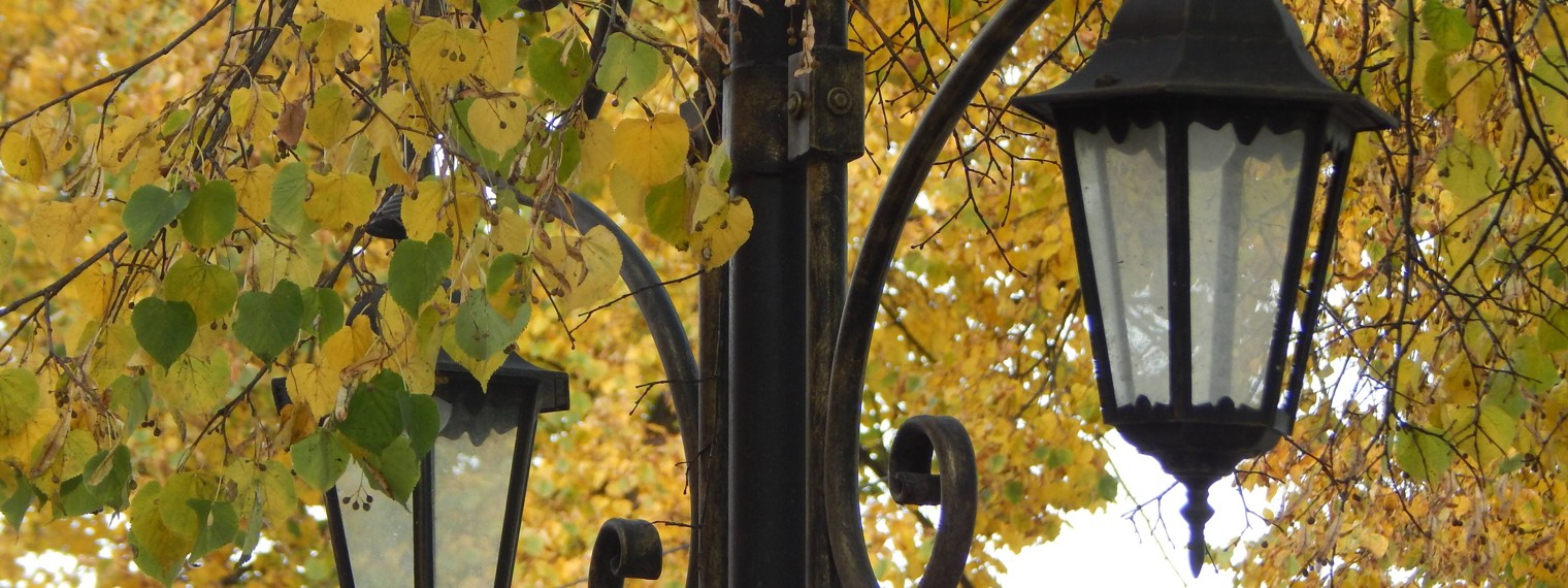 Провинциальные поэты