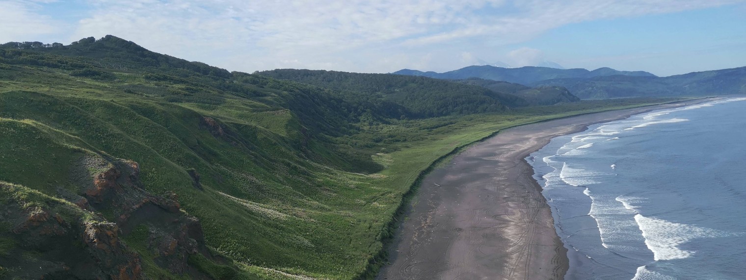 Рысь В Ботах