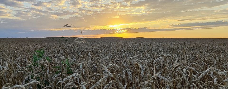 Плюс во всём...
