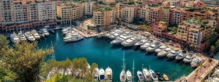 Веселая жизнь