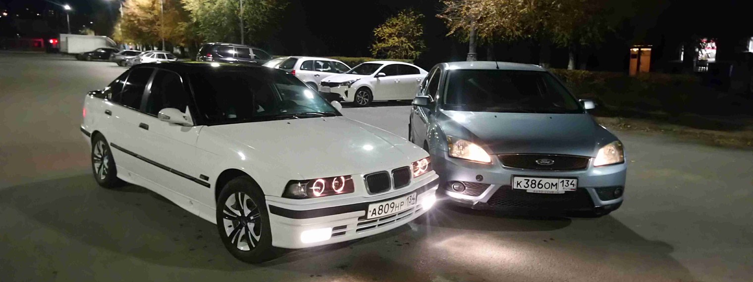 Скат Волгоград