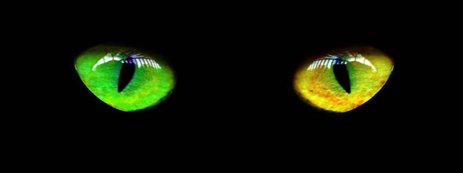 День за днем глазами Panterka007