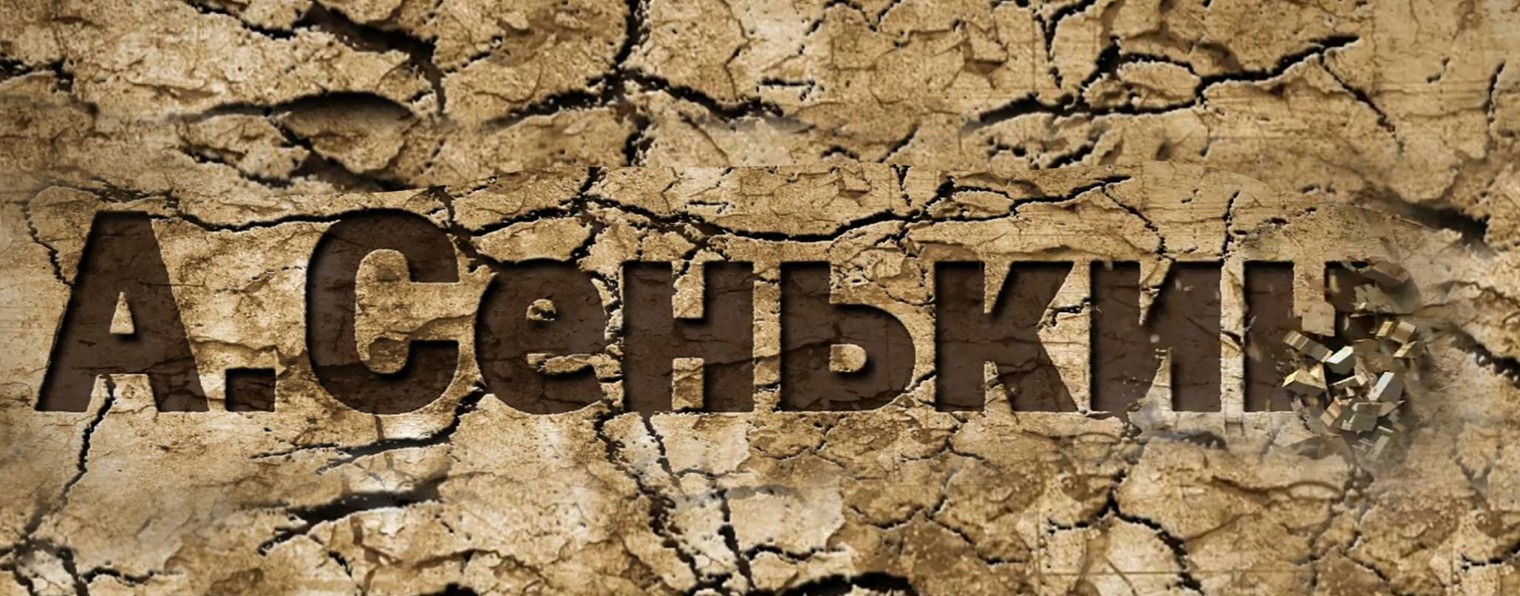 А.Сенькин
