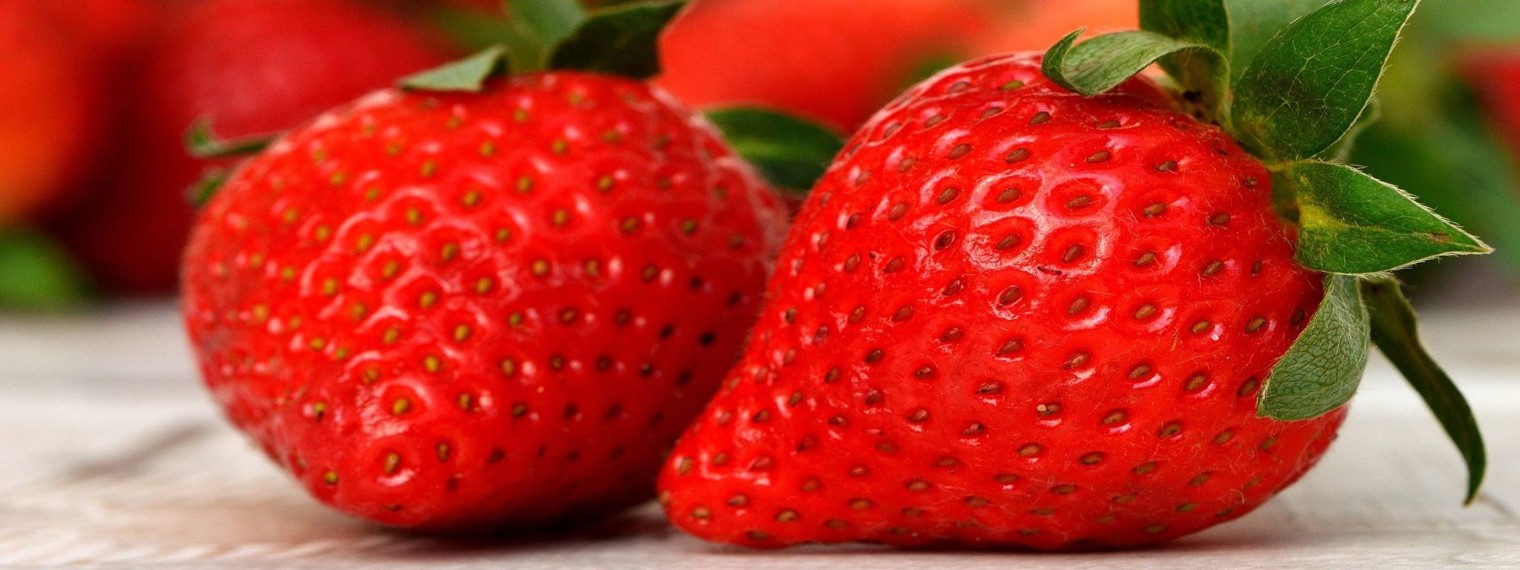 Про готовку