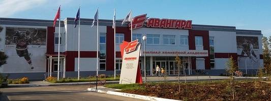 Роман