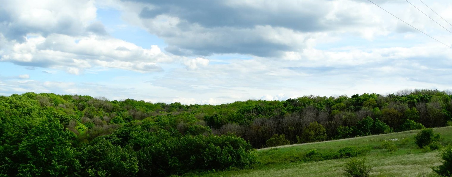 ПРОФЕССИОНАЛЬНАЯ ПЕДАГОГИКА.  АЛЕКСАНДР НИКОЛАЕВИЧ