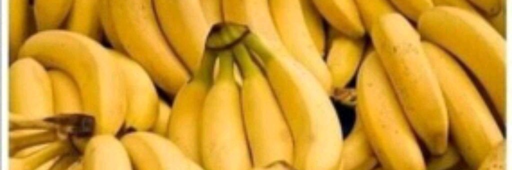 РУССКИЙ ГОЛОС