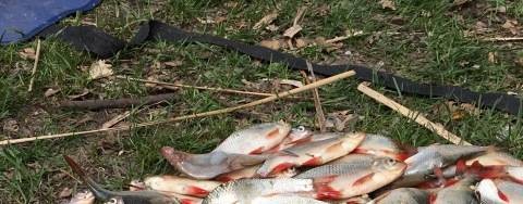 Безбашенный спиннигист