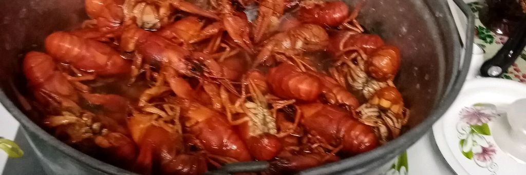 Андрей Караулов