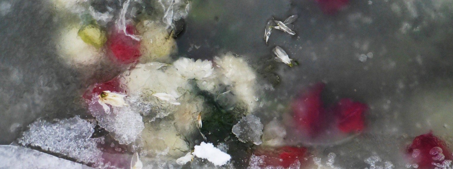 Петербург музыкальный