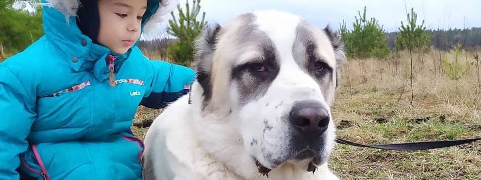 Крестьянское подворье Гиркиных