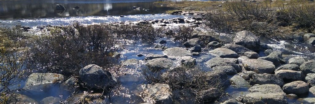 Юрец - всего по немногу