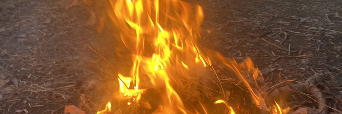 Виктория Лета