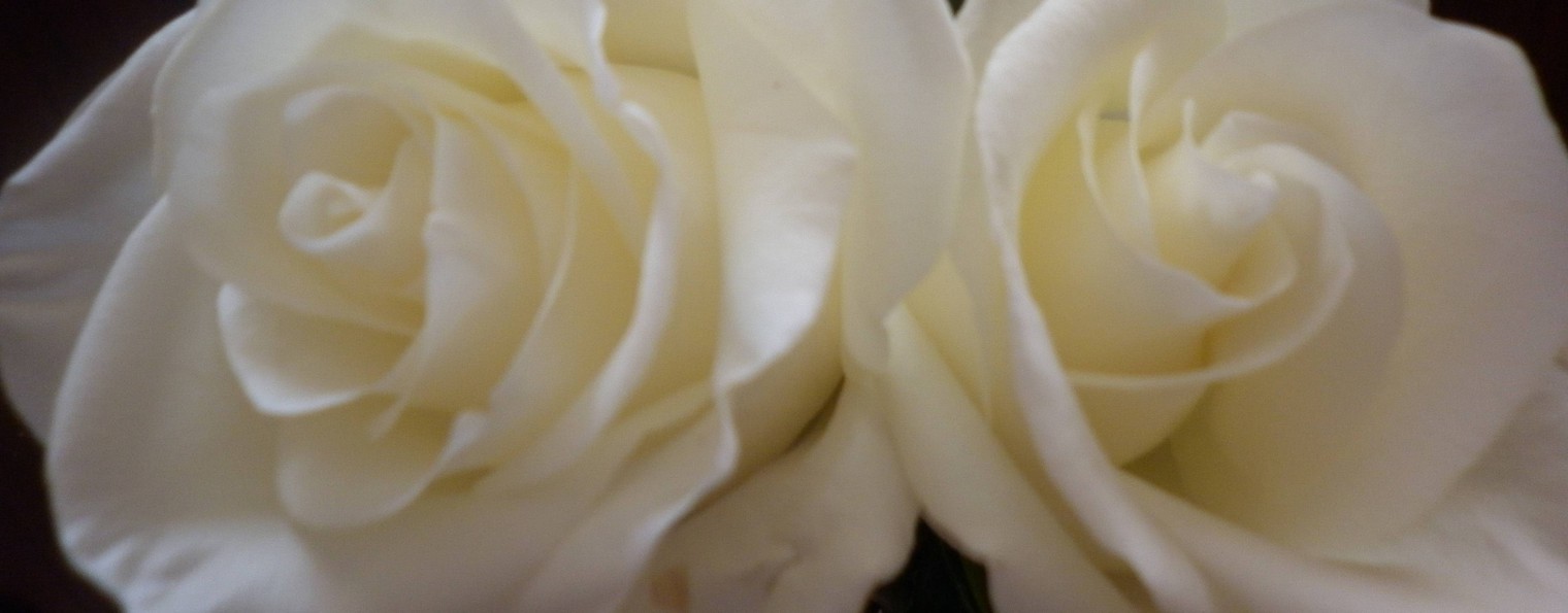 "Кухня бабы Шуры"