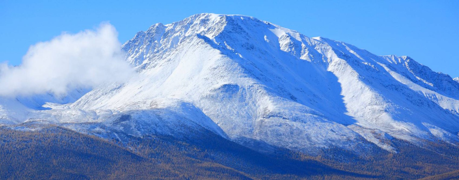 Трейдер SUPERSARX с Платформы CRYPTORG