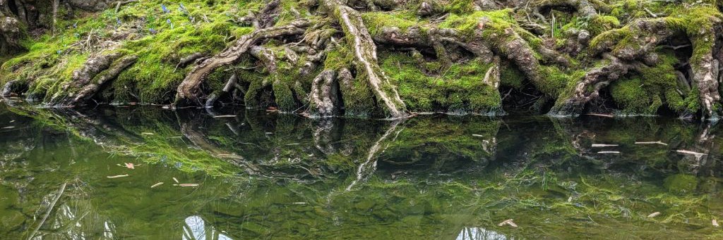 КЕЛ_Строй_23Rus