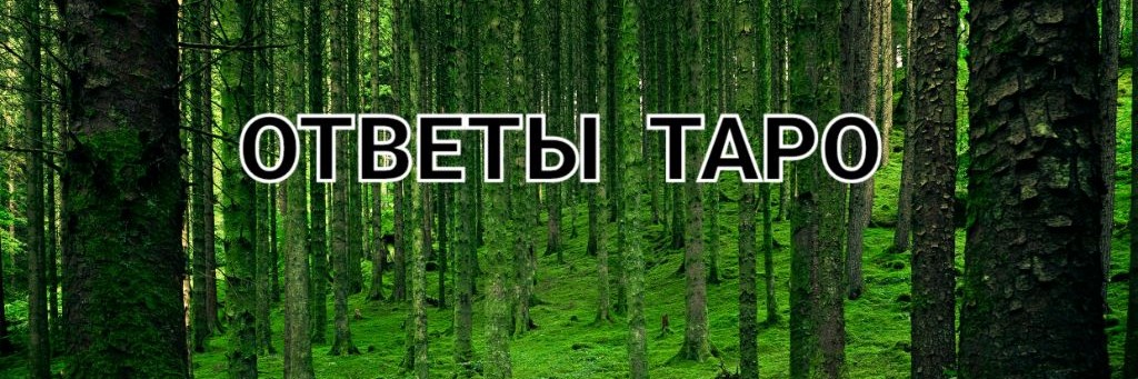 ОТВЕТЫ ТАРО